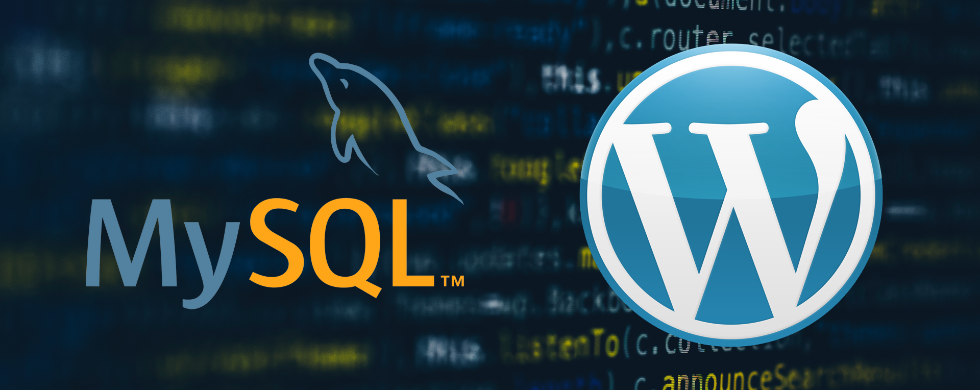 Understanding the Basics of WordPress Database Security - Voxfa Understanding the Basics of WordPress Database Security - Voxfa
